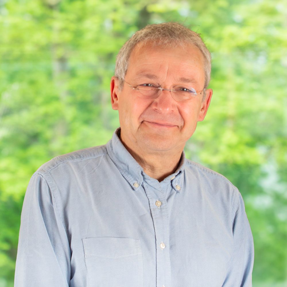 Georg A. Holländer :: Institute of Developmental and Regenerative ...