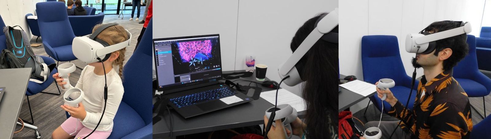 SyGlass :: Institute of Developmental and Regenerative Medicine (IDRM)